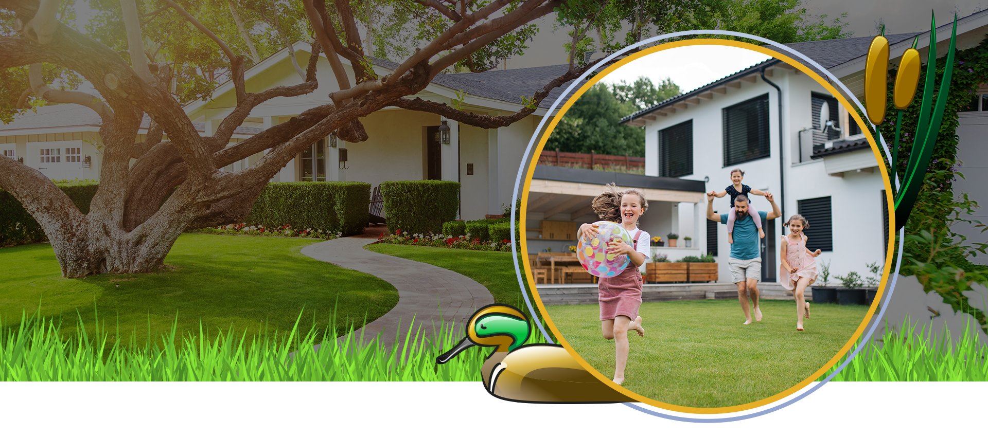 Green Wing Lawn and Pest Services | Merritt Island Pest Control